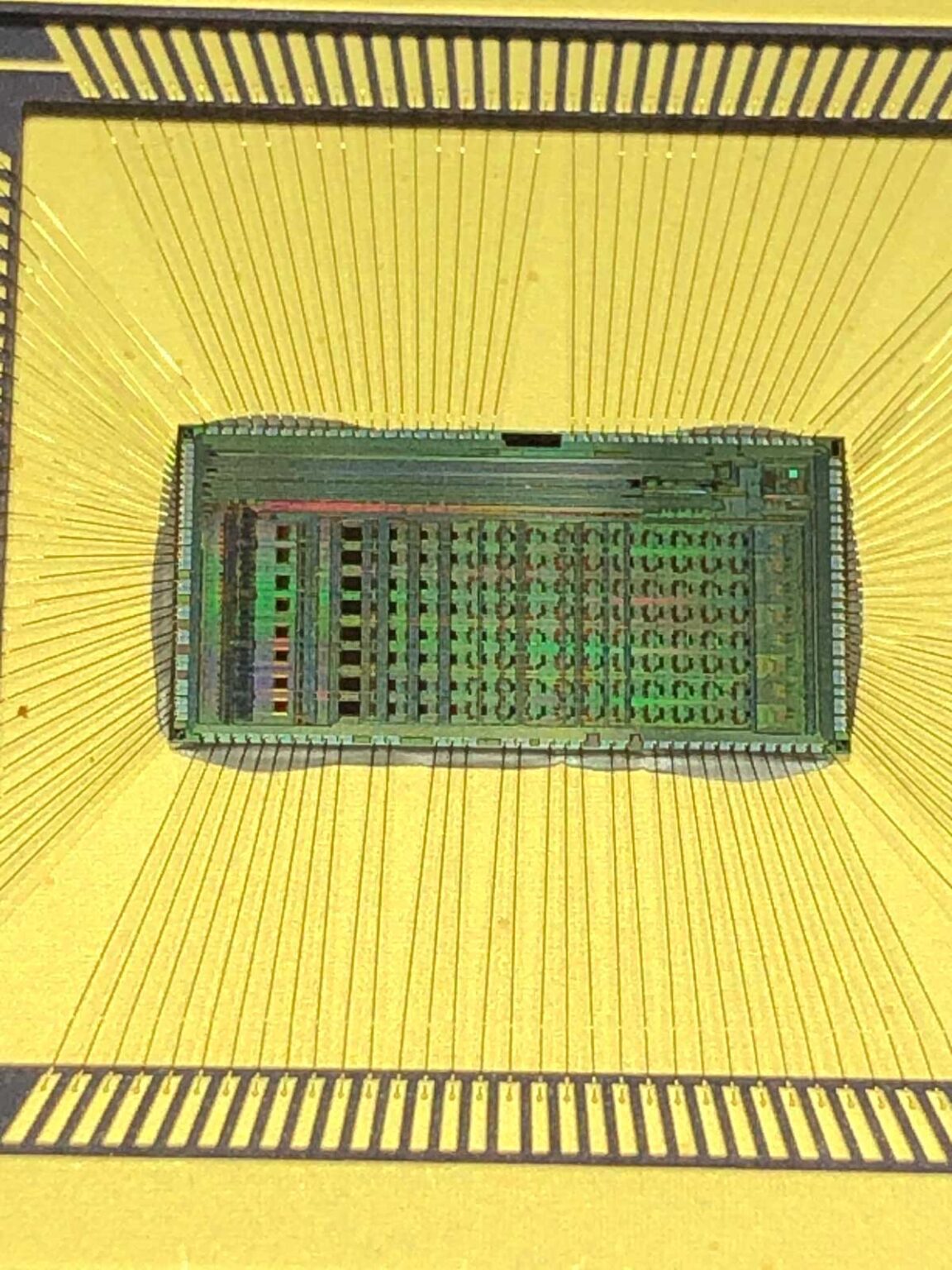 SAAZ Micro Inc - Leaders in Advanced Image Sensors